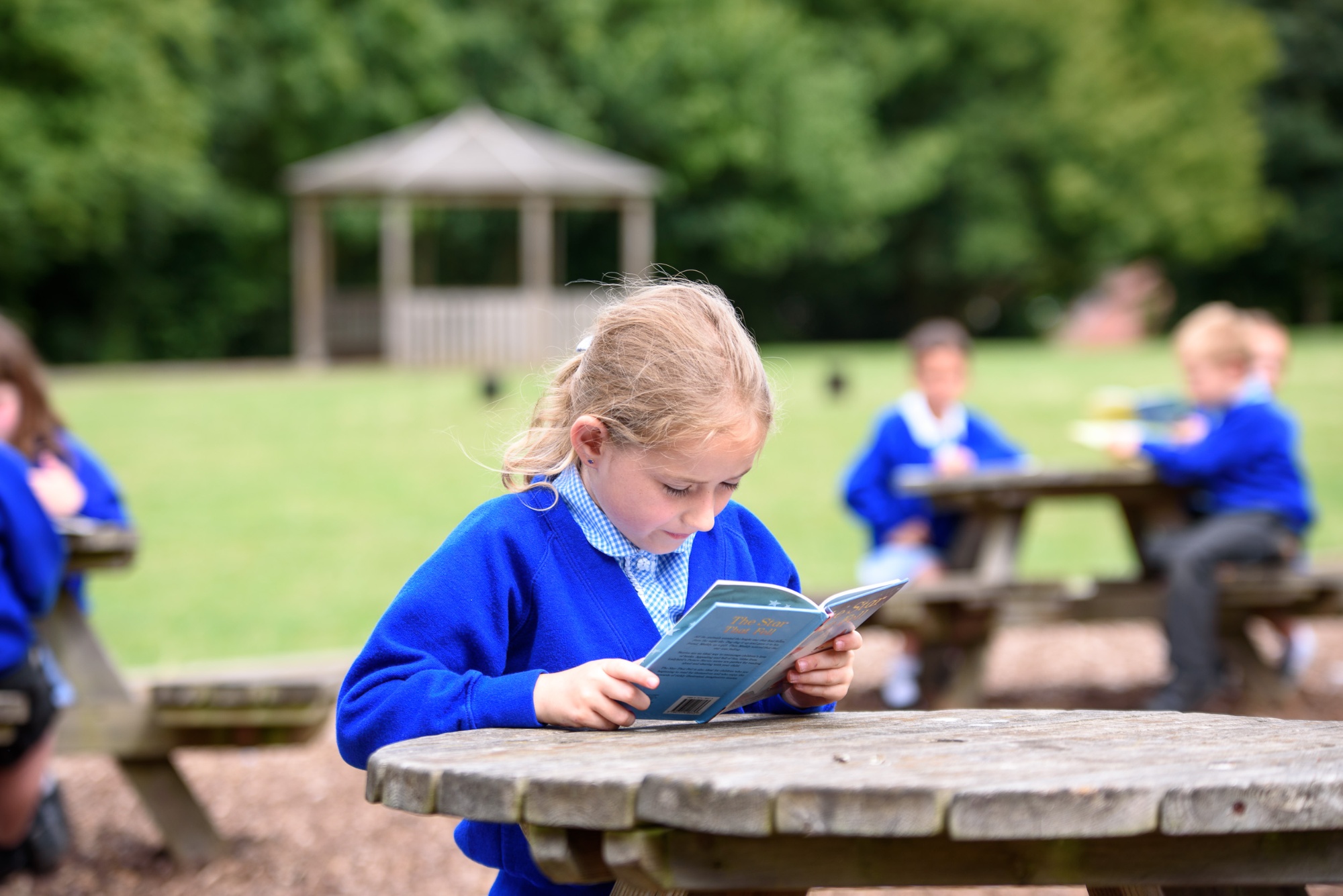 Istead Rise Primary School - Home